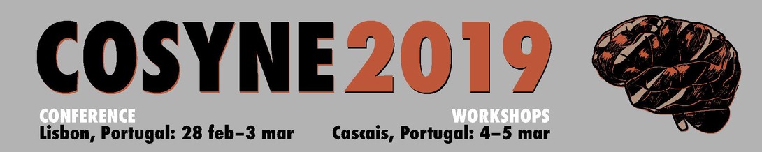 Cosyne 2019 Main Meeting